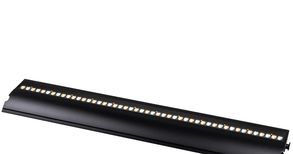 FOOTSIE2™ Slim | Multisource LED IP65 | Linear (CYC)
